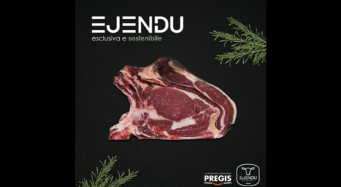 Ejendu - PREGIS